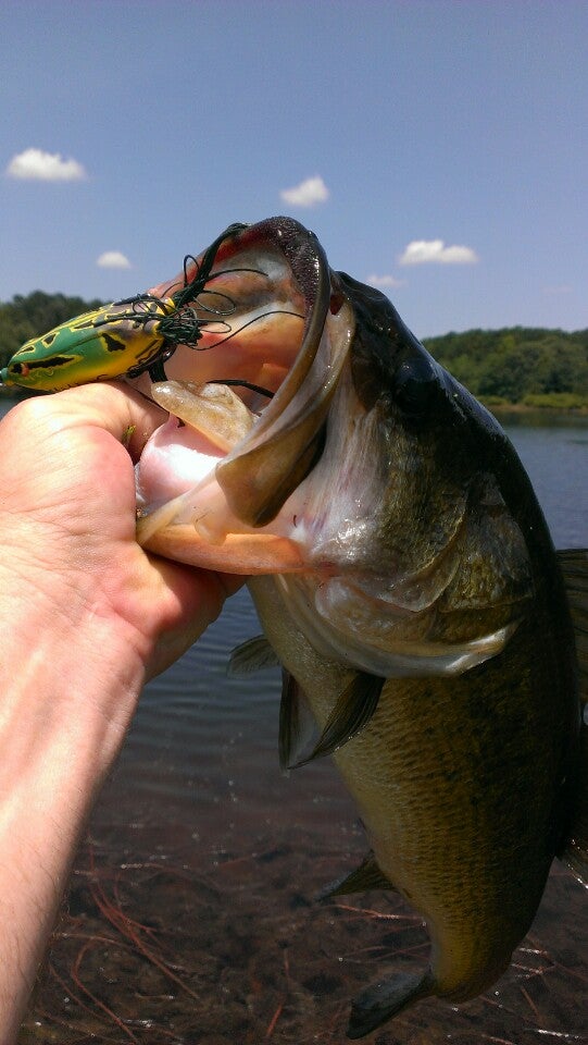 Lake Victor, Fayetteville, GA, Lake - MapQuest