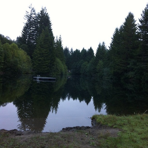 Randle, WA Map & Directions - MapQuest