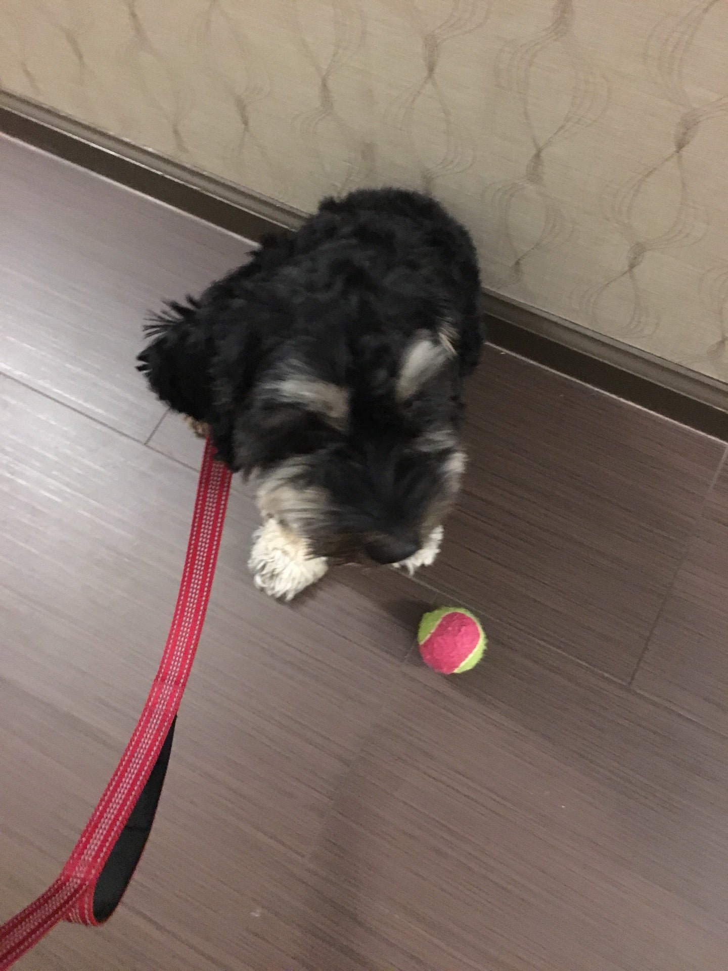 Brooklyn, NY Map & Directions - MapQuest