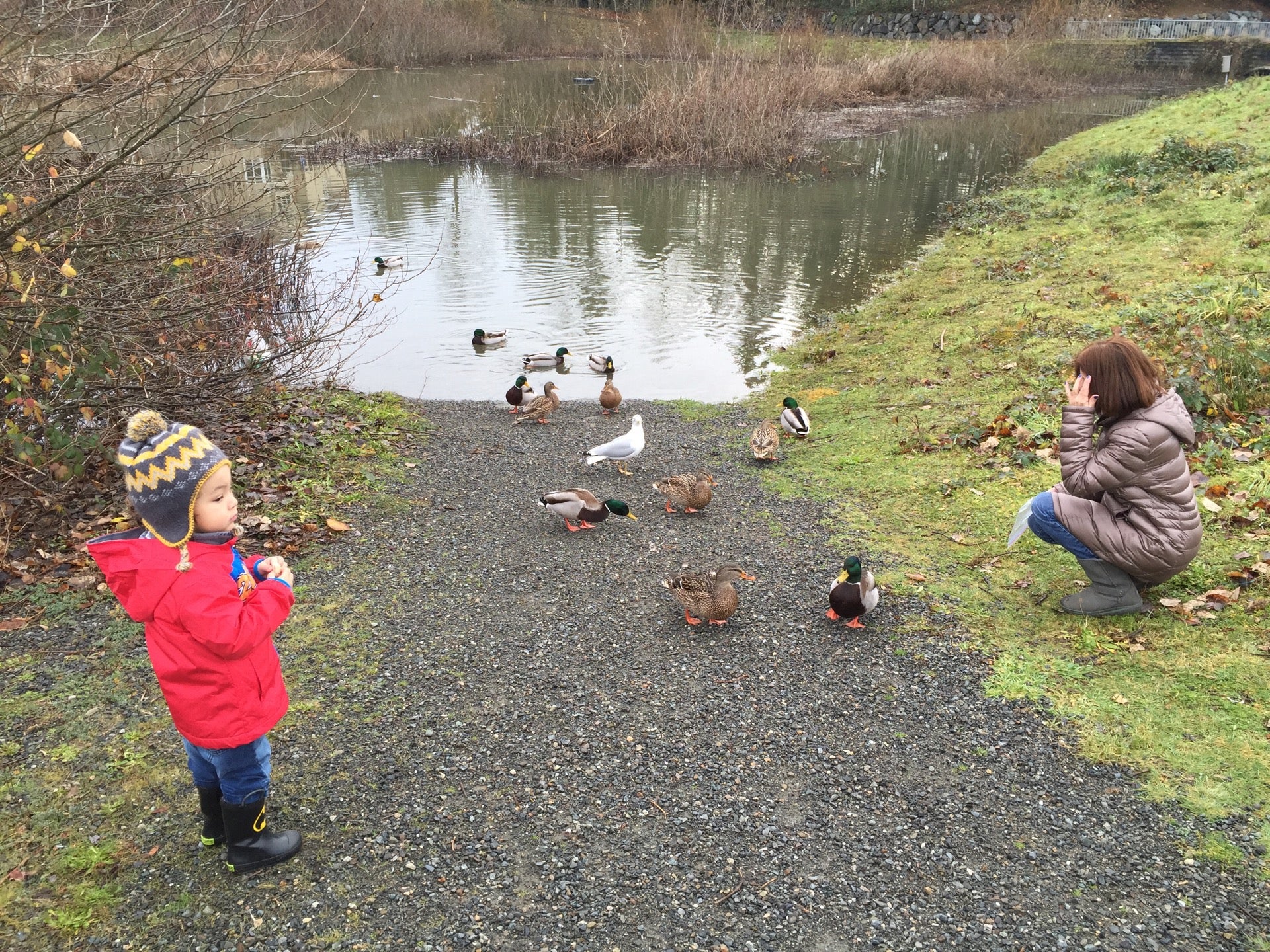 Woodbridge Community Playground, Redmond, WA - MapQuest