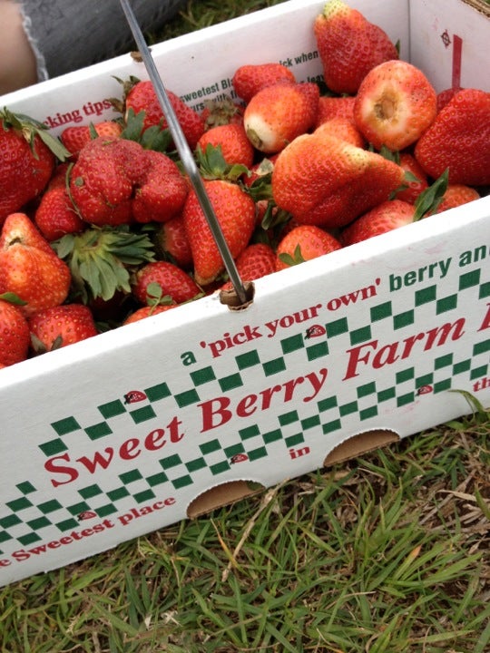 Sweet Berry Farm, 1801 FM-1980, Marble Falls, TX, Farms - MapQuest