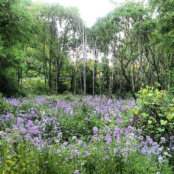 Buckaloons Recreation Area, National Forge Rd, Irvine, PA, Campgrounds ...