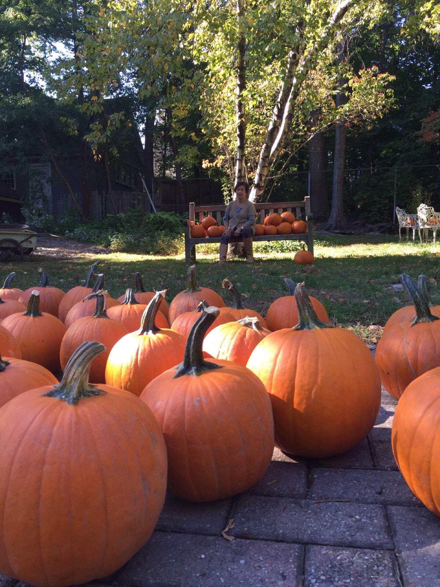 Freeman Gardens Glen Ridge | Fasci Garden