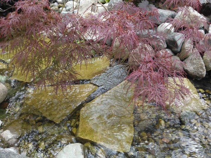 Jehovah's Witness Assembly Hall, 43777 Ecorse Rd, Belleville, MI ...