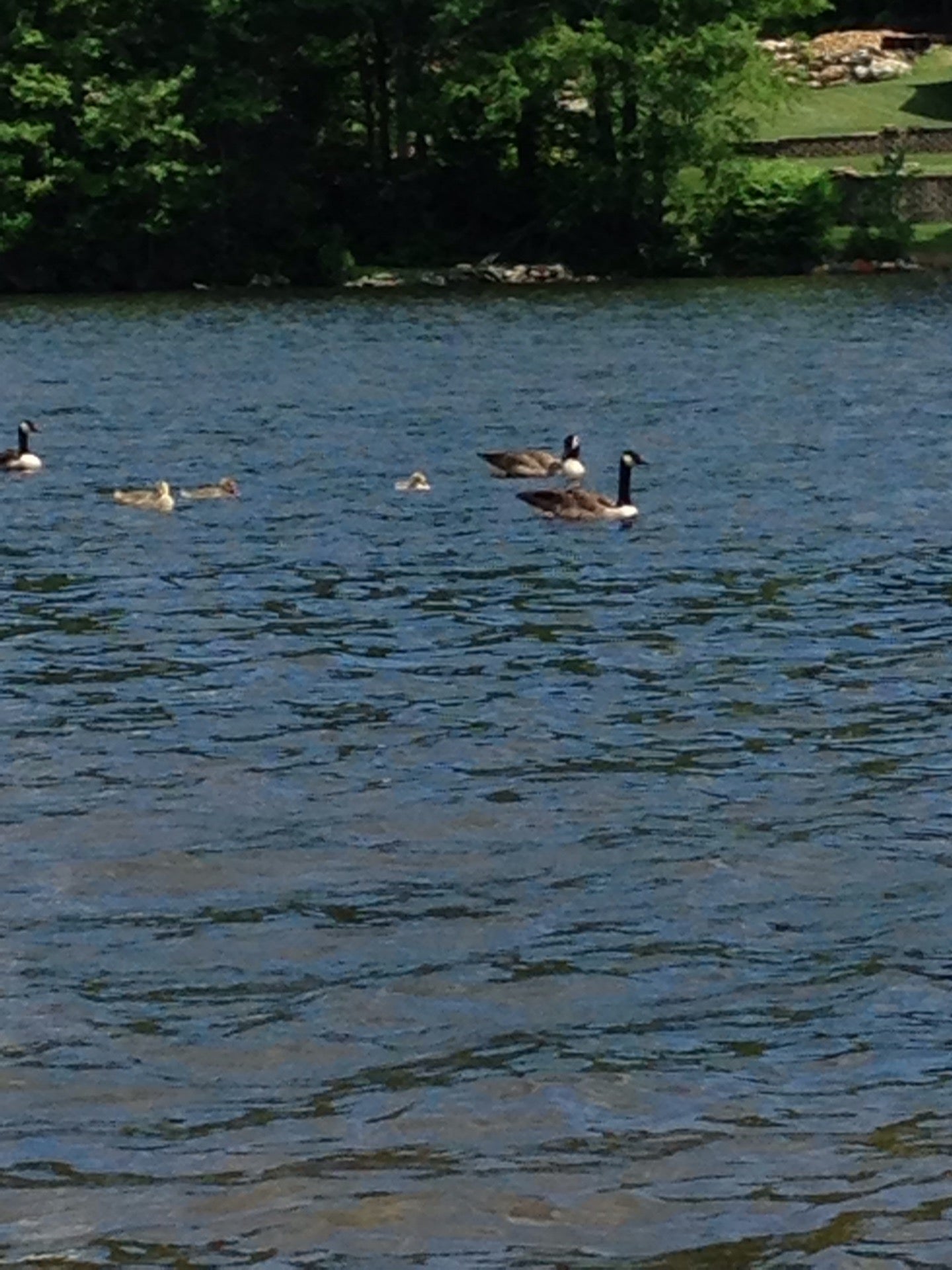 Sugden Reservoir, 18 Ledge Ave, Spencer, Town of, MA - MapQuest