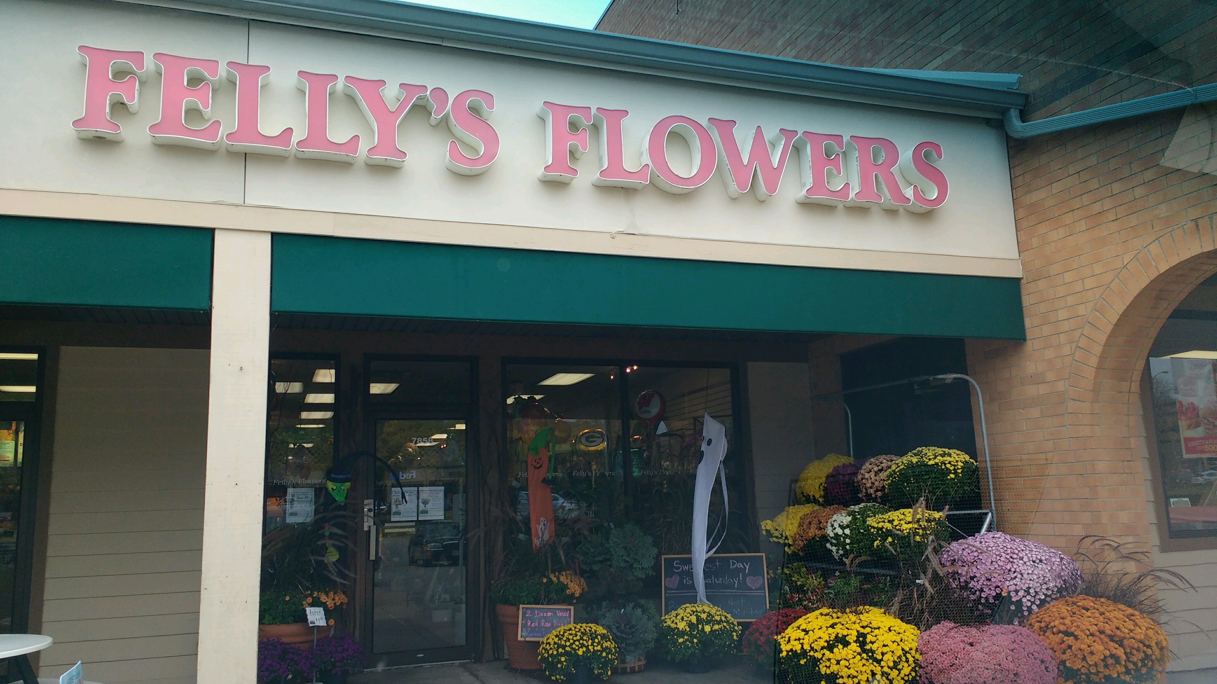 Fellys Flowers | Best Flower Site