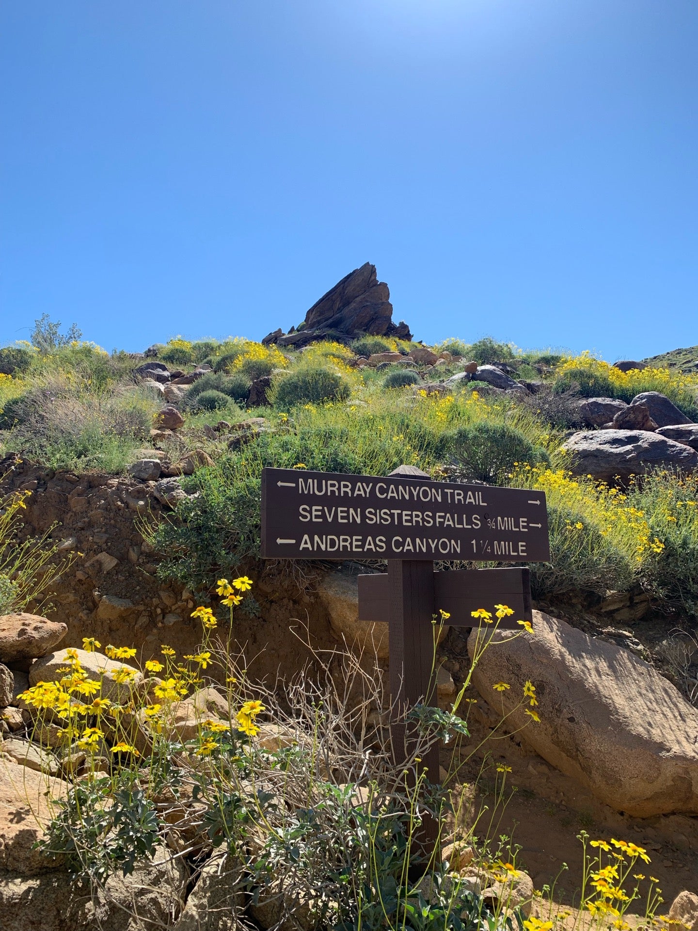 Murray Canyon, Palm Springs, CA, Trail - MapQuest