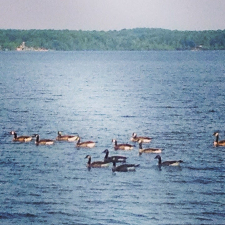 Springville, TN Map & Directions - MapQuest