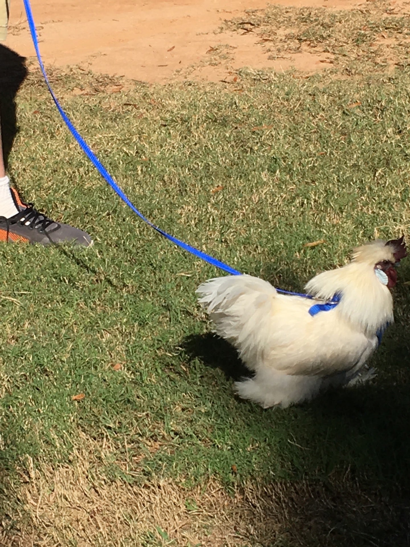 Handley Park, 100 Handley Rd, Tyrone, GA - MapQuest