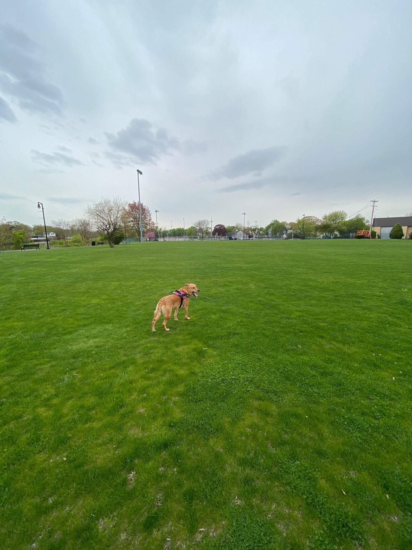 Lister Park, Rockville Centre, NY - MapQuest