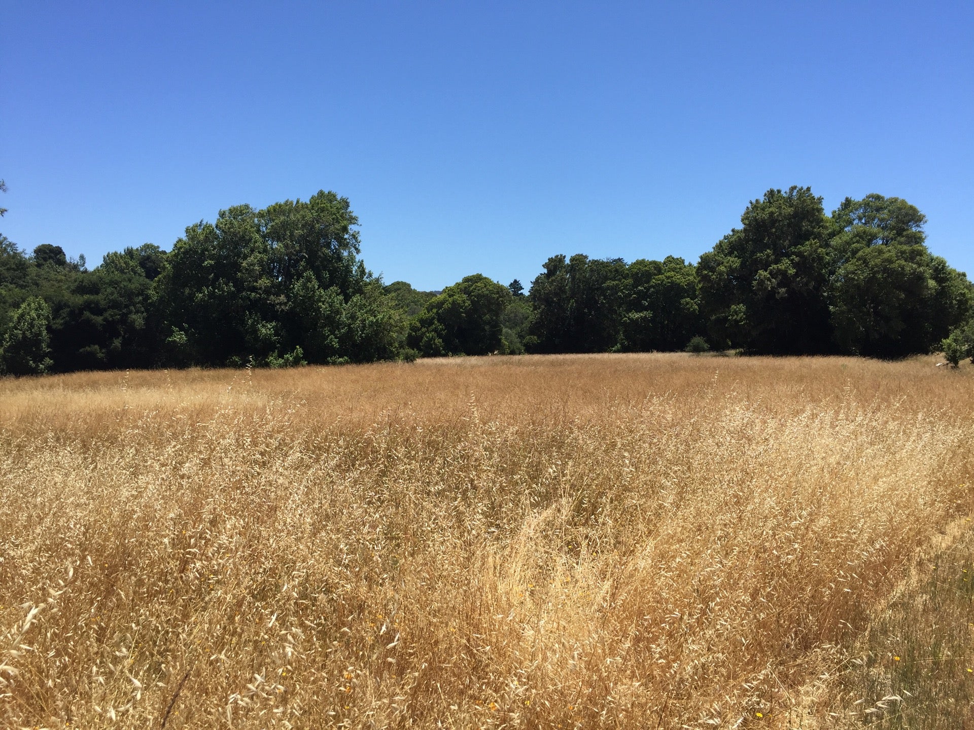 Earthquake Trail, Bear Valley Rd, Point Reyes Station, CA - MapQuest