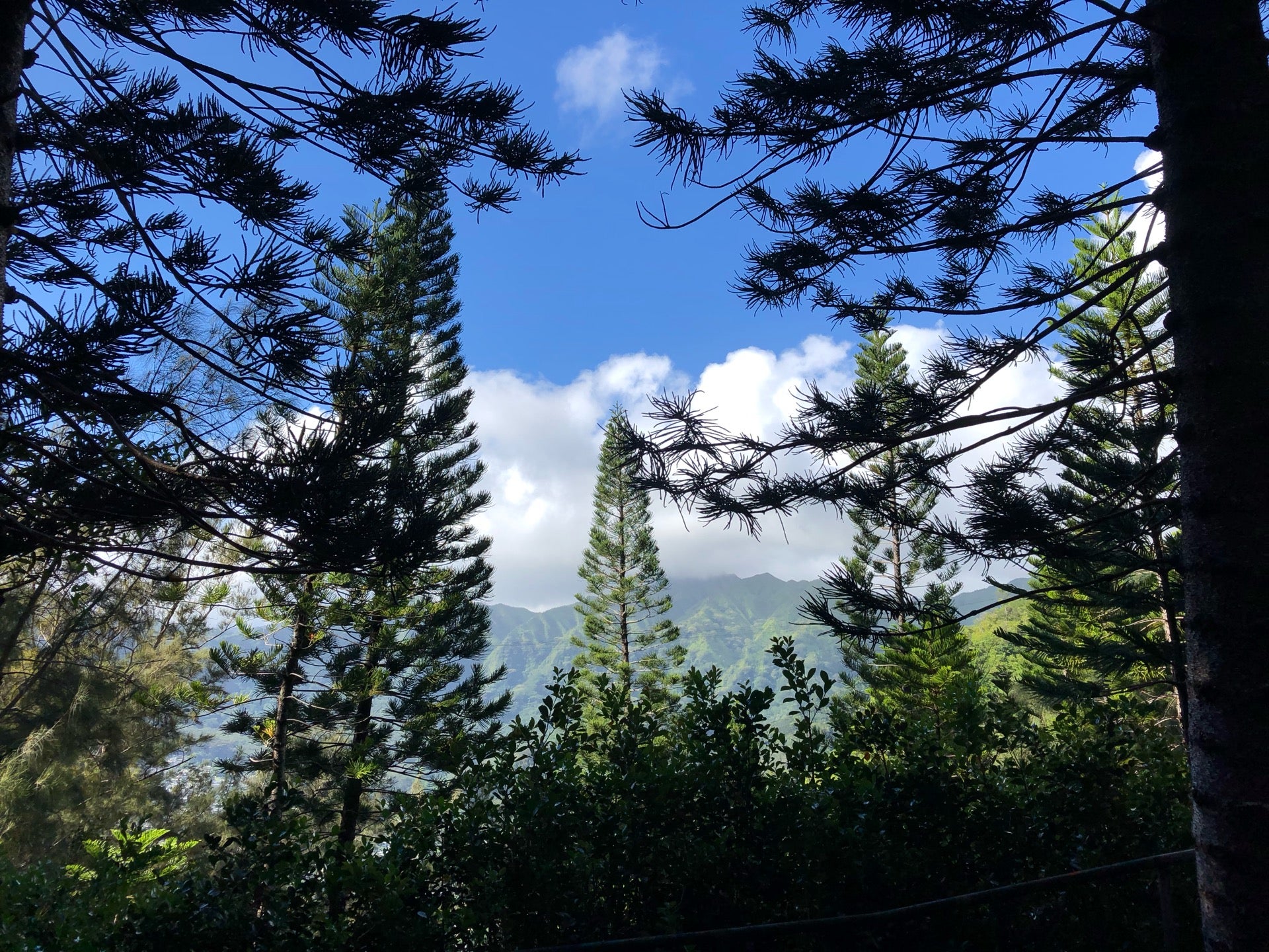 Waahila Ridge State Recreation Area, Ruth Place, Honolulu, HI, Picnic ...