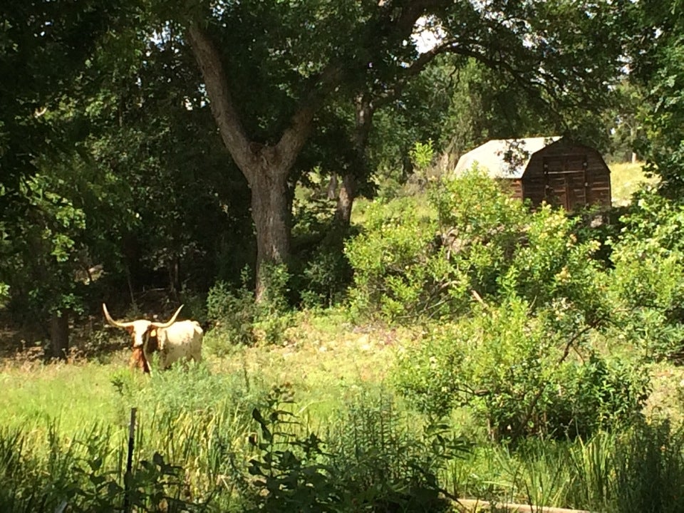 Crockett Gardens And Falls, Georgetown, TX - MapQuest