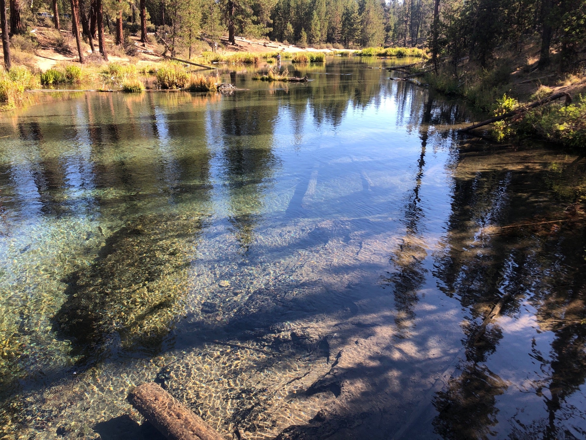 Fall River Campground, South Century Drive and National Forest ...