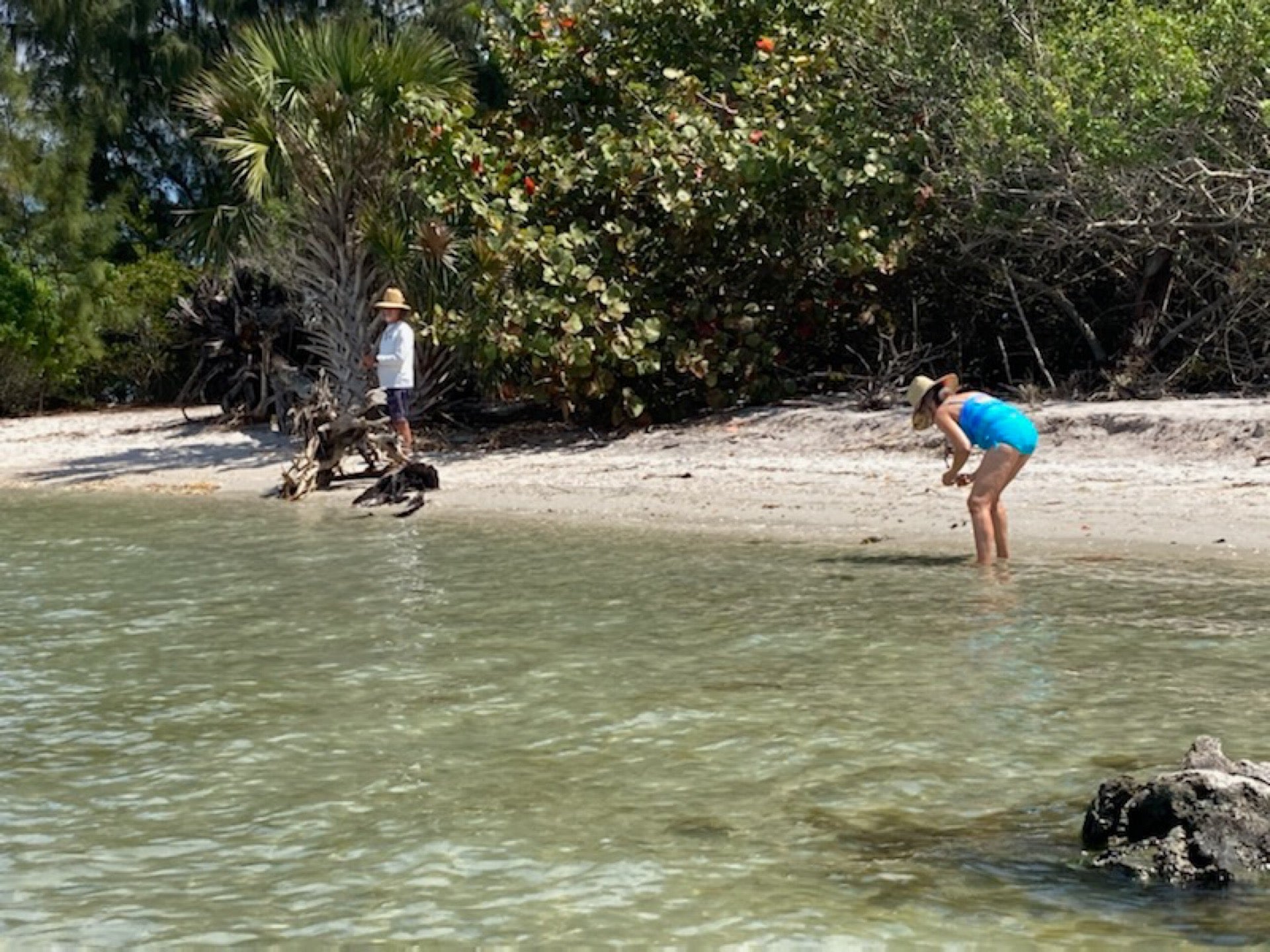 Scout Island LongPointPark, Sebastian, FL - MapQuest