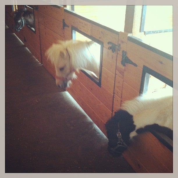 Paradise, PA Map & Directions - MapQuest