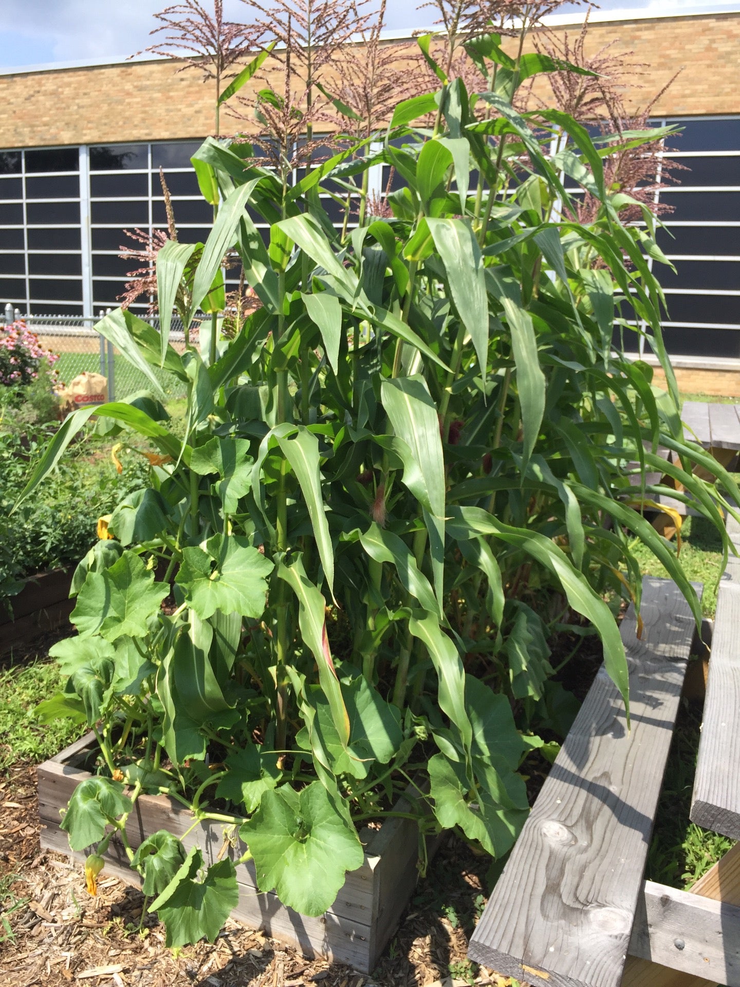 O.L. Smith Middle School, 23851 Yale St, Dearborn, MI, Schools ...