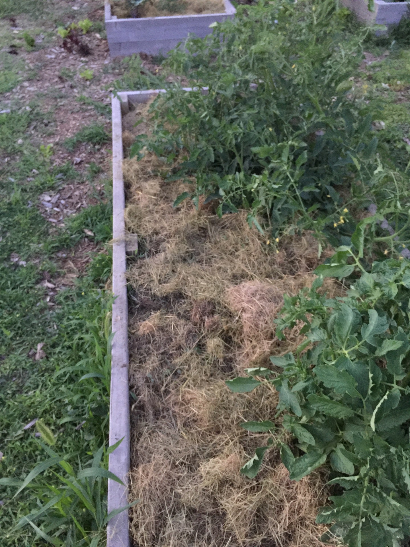 O.L. Smith Middle School, 23851 Yale St, Dearborn, MI, Public ...