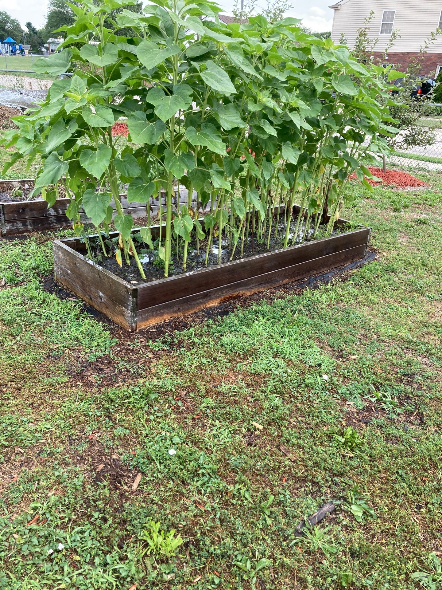 O.L. Smith Middle School, 23851 Yale St, Dearborn, MI, Public ...