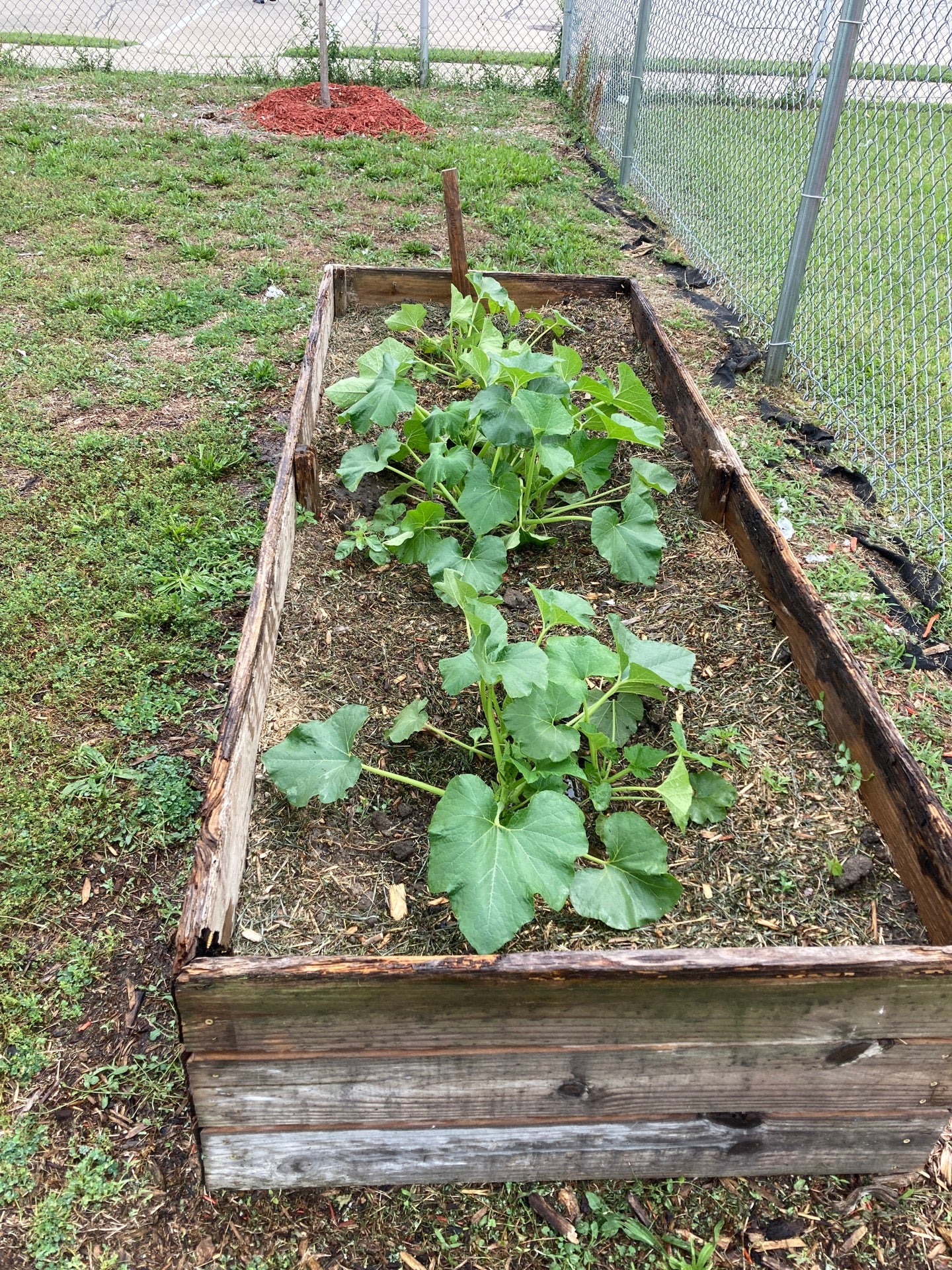 O.L. Smith Middle School, 23851 Yale St, Dearborn, MI, Schools ...