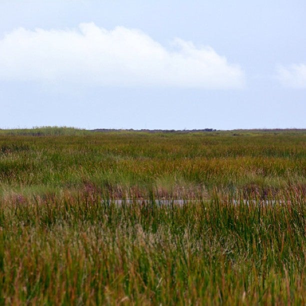 Big Branch Marsh National Wildlife Refuge, 61389 Highway 434, Lacombe ...
