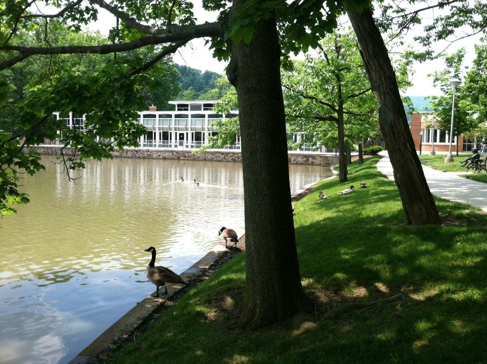 Penn State Altoona Second Degree Nursing Program, Grandview Rd, Logan ... Penn State Altoona Second Degree Nursing Program, Grandview Rd, Logan ...