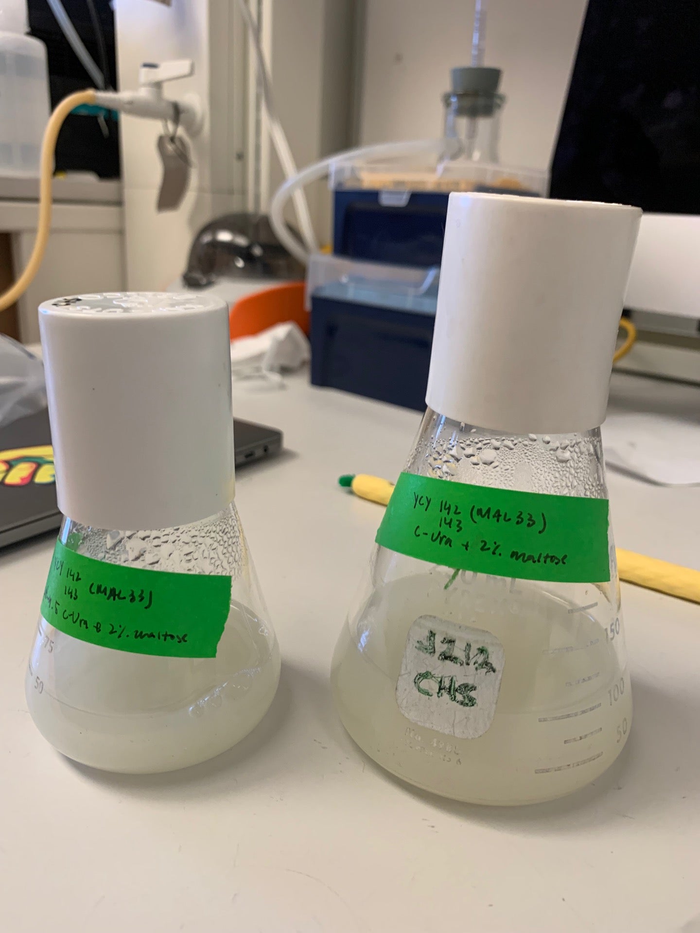 UW: William H. Foege Building, 1705 NE Pacific St, Seattle, WA ...