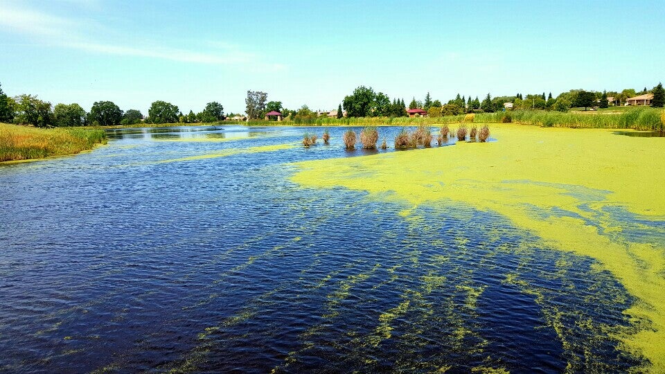 Ferrari Pond, Lincoln, CA, Lake - MapQuest