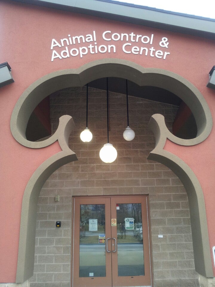 Thomas J O'Connor Animal Control and Adoption Center, 627 Cottage St ...