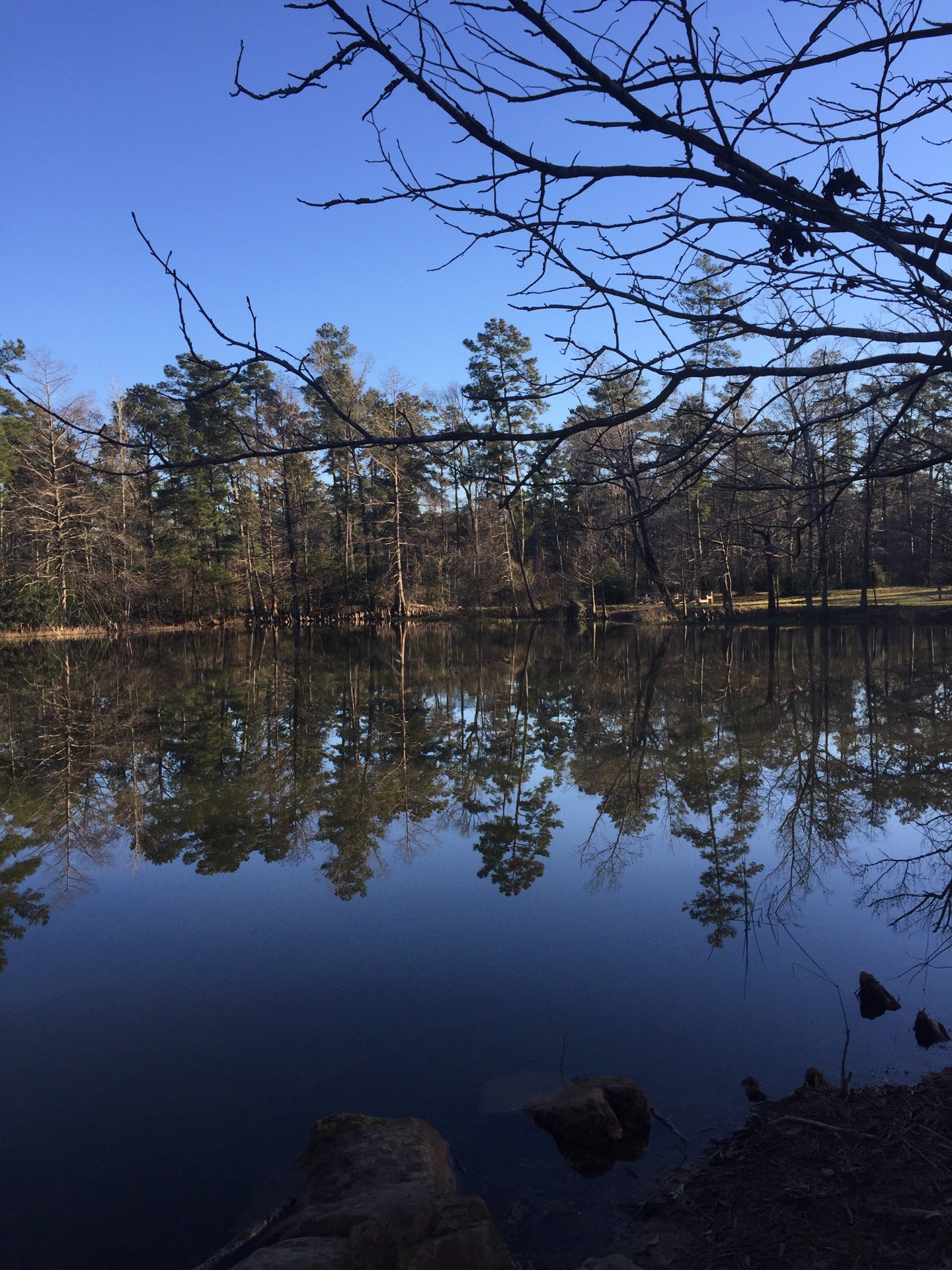 W G Jones State Forest, 1328 FM 1488 Rd, Conroe, TX, Parks - MapQuest