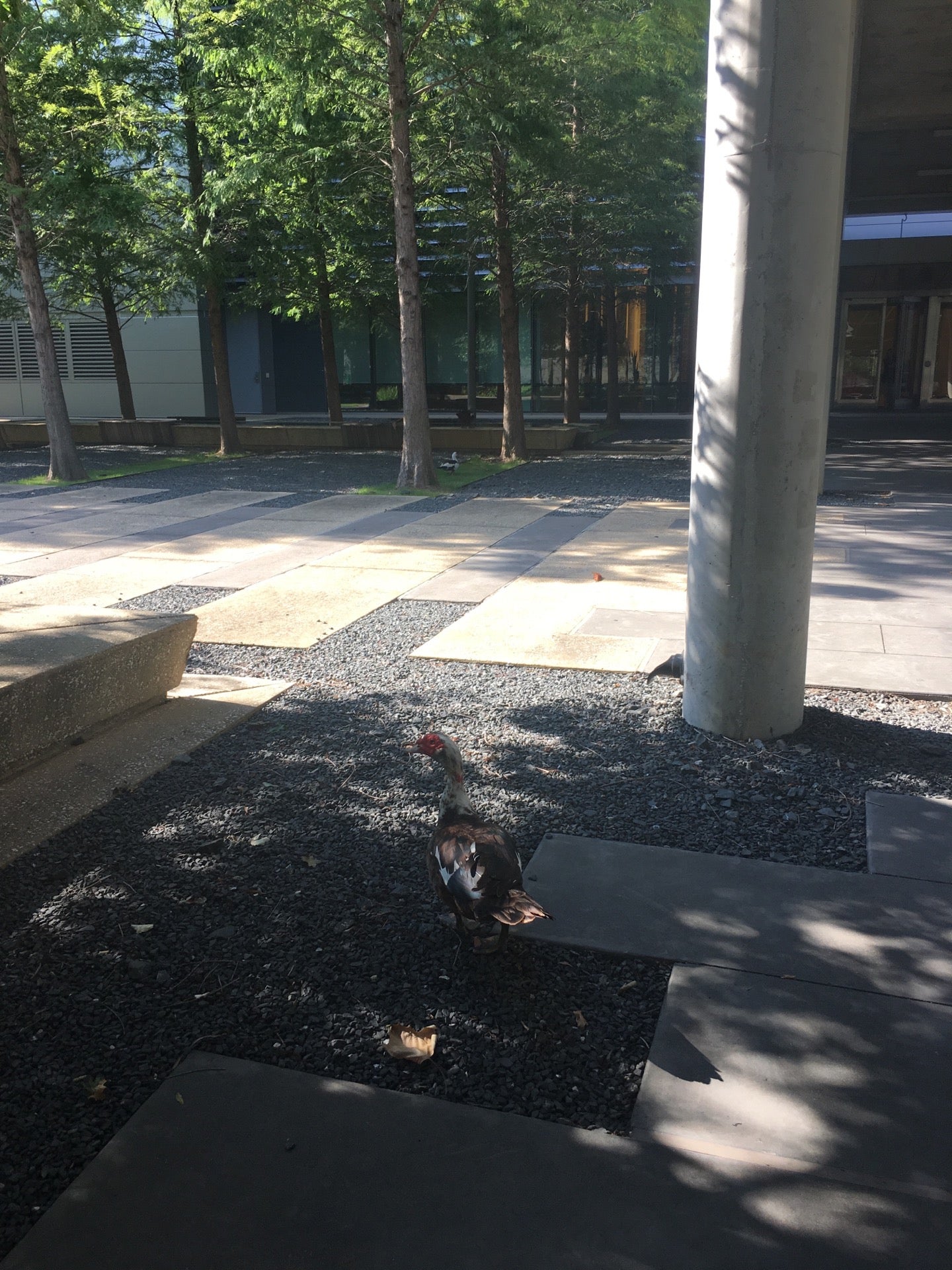 BP Helios Plaza, 201 Helios Way, Houston, TX, Department Stores - MapQuest