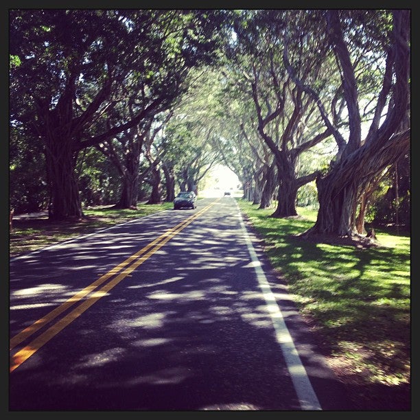 Hobe Sound Drawbridge, Jupiter Island, FL, Bridge - MapQuest