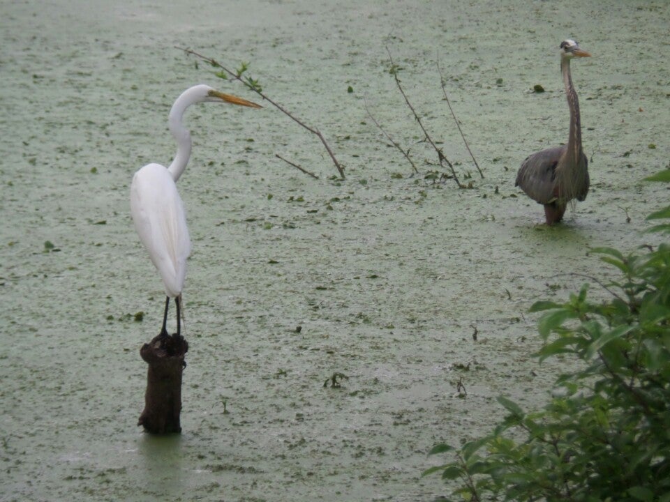 Mermet Lake, Mermet Lake Rd, Belknap, IL, Lake - MapQuest