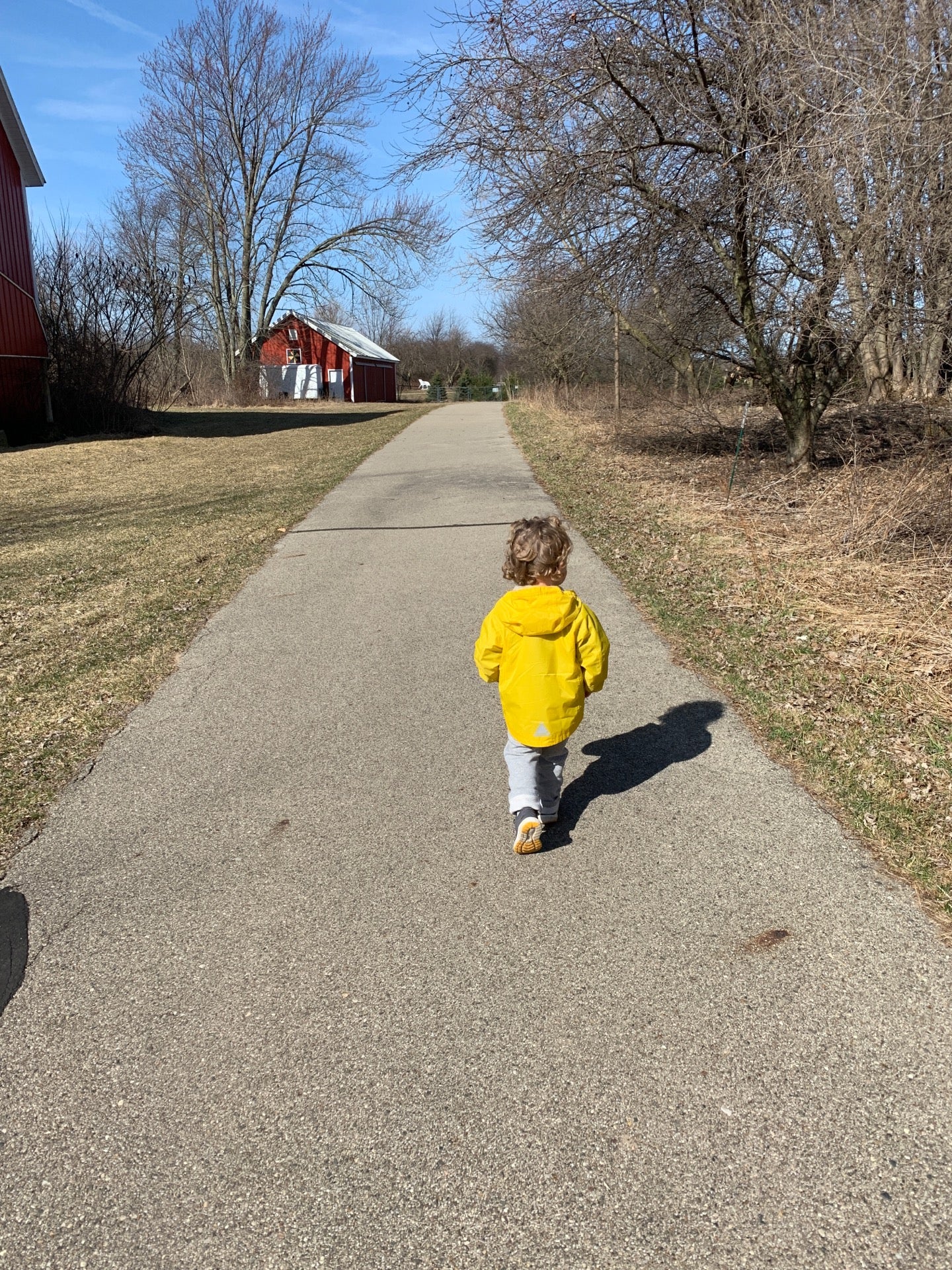 Prairie Wolf Park Trail, Caledonia, MI, Parks - MapQuest