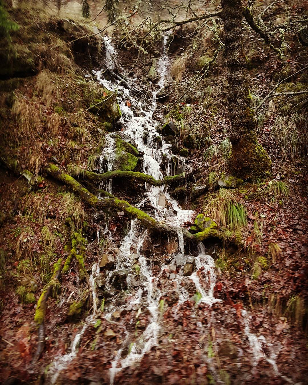 Lyle, WA Map & Directions - MapQuest