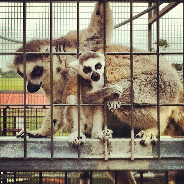 Pilot Point, TX Map & Directions - MapQuest