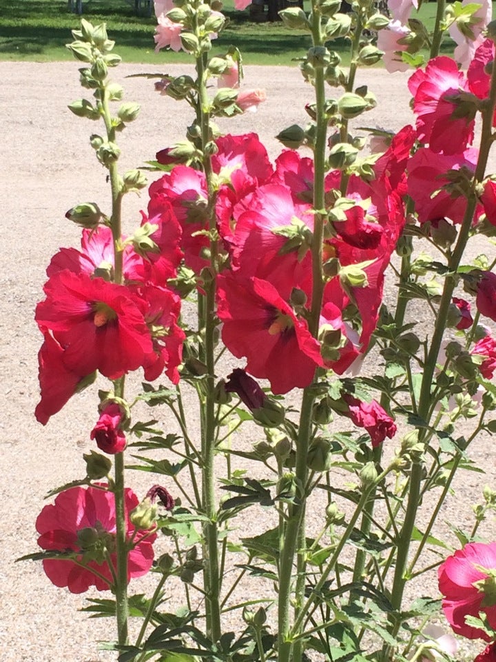 Larned, KS Map & Directions - MapQuest