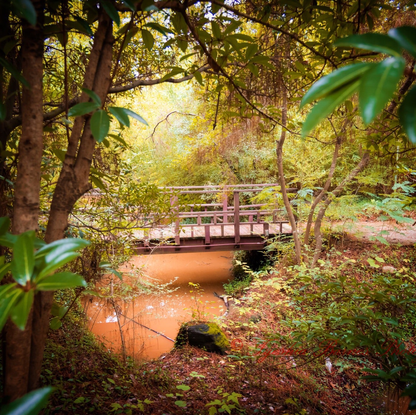 Waskom, TX Map & Directions - MapQuest