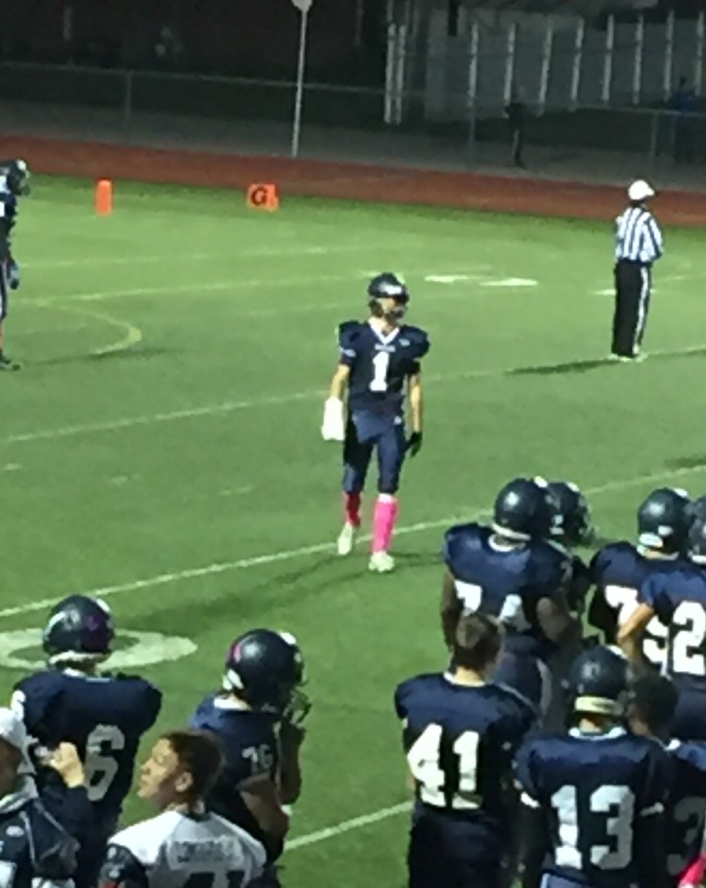 Phillip E. Runkel Field, Sterling Heights, MI - MapQuest