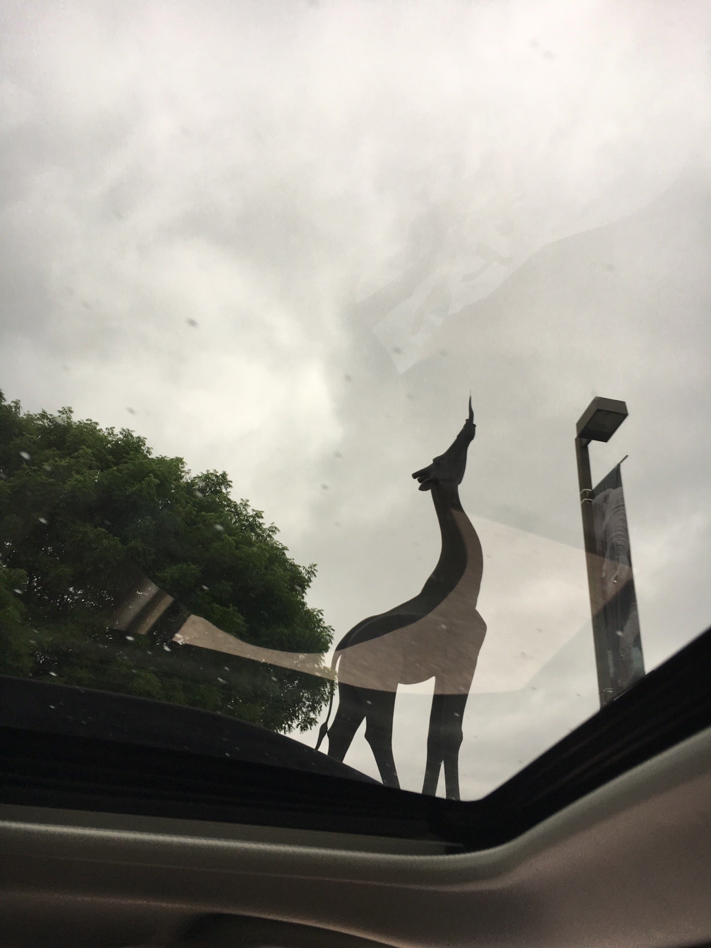 Giraffe Statue - Largest Statue in Texas, Dallas, TX, Monuments - MapQuest