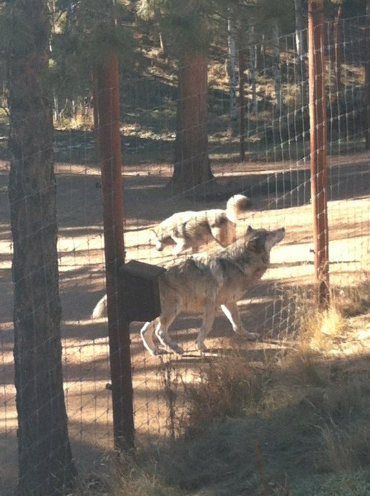 Lake George, CO Map & Directions - MapQuest