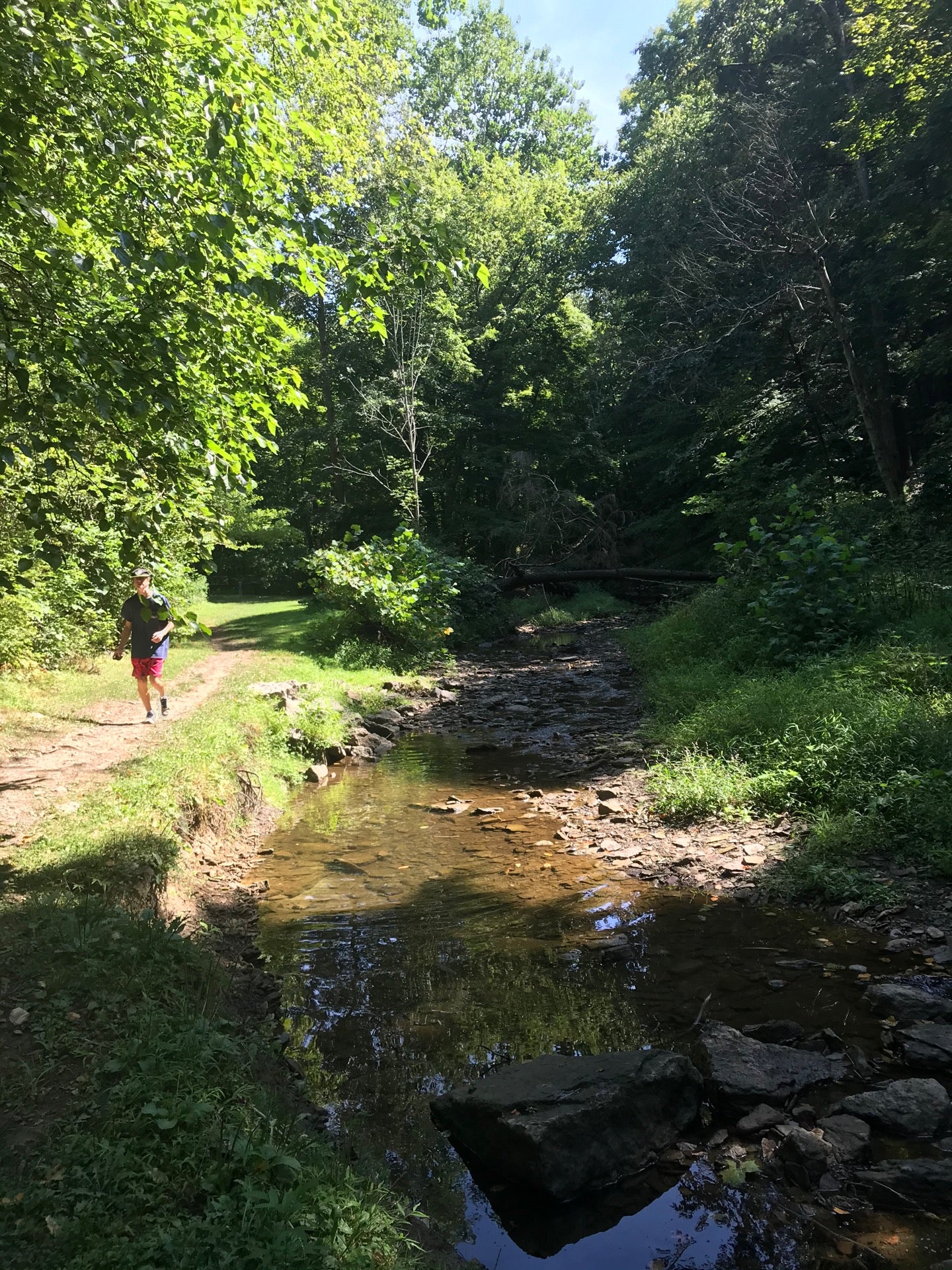 Fox Chapel, PA Map & Directions - MapQuest