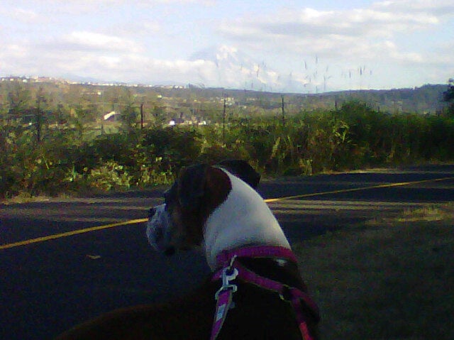 Foothills Trail - East Puyallup Trailhead, Alderton, WA, Landmark ...