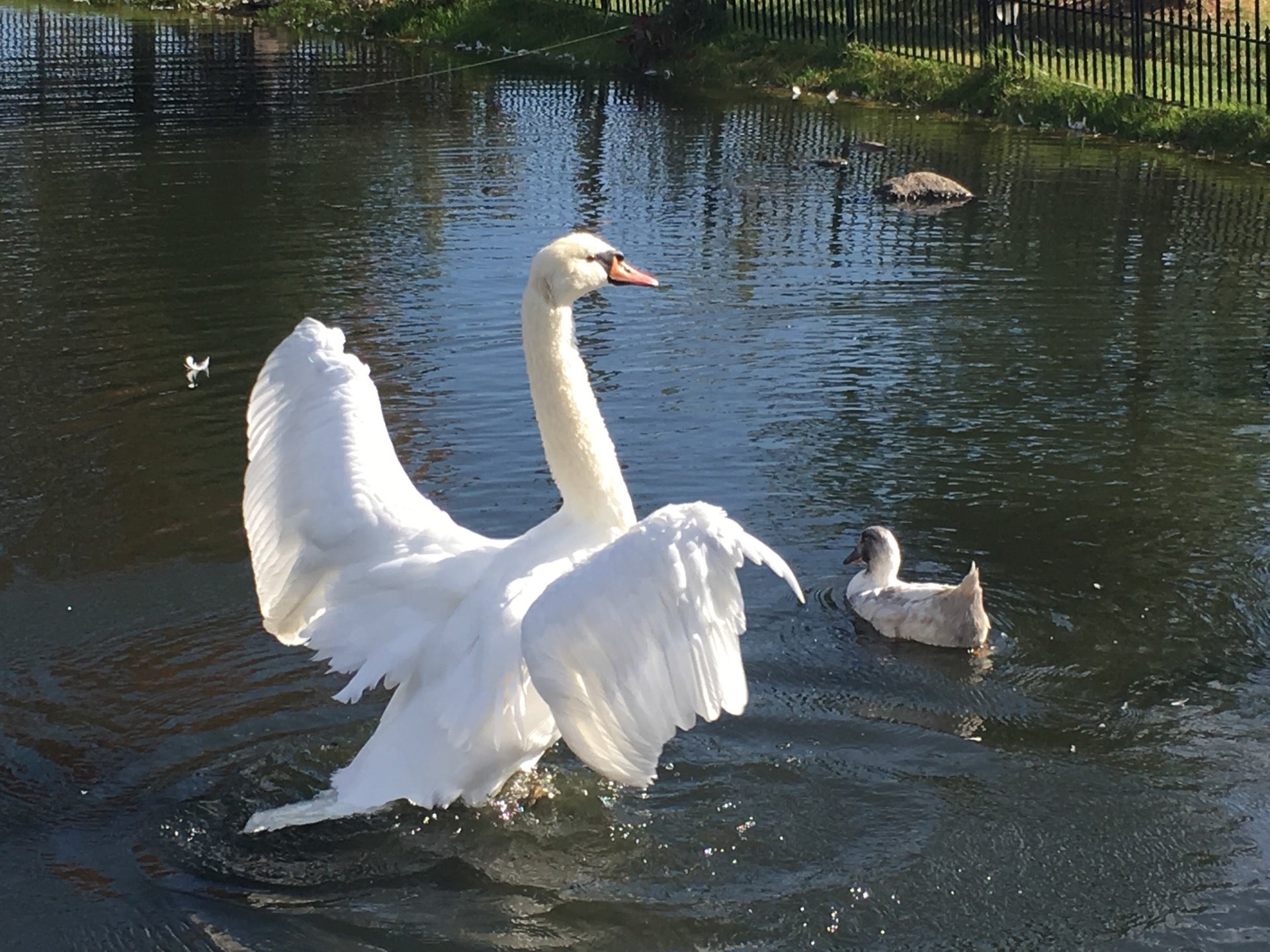 Paddock Lake, 6422 238th Ave, Salem, WI, Lake - MapQuest