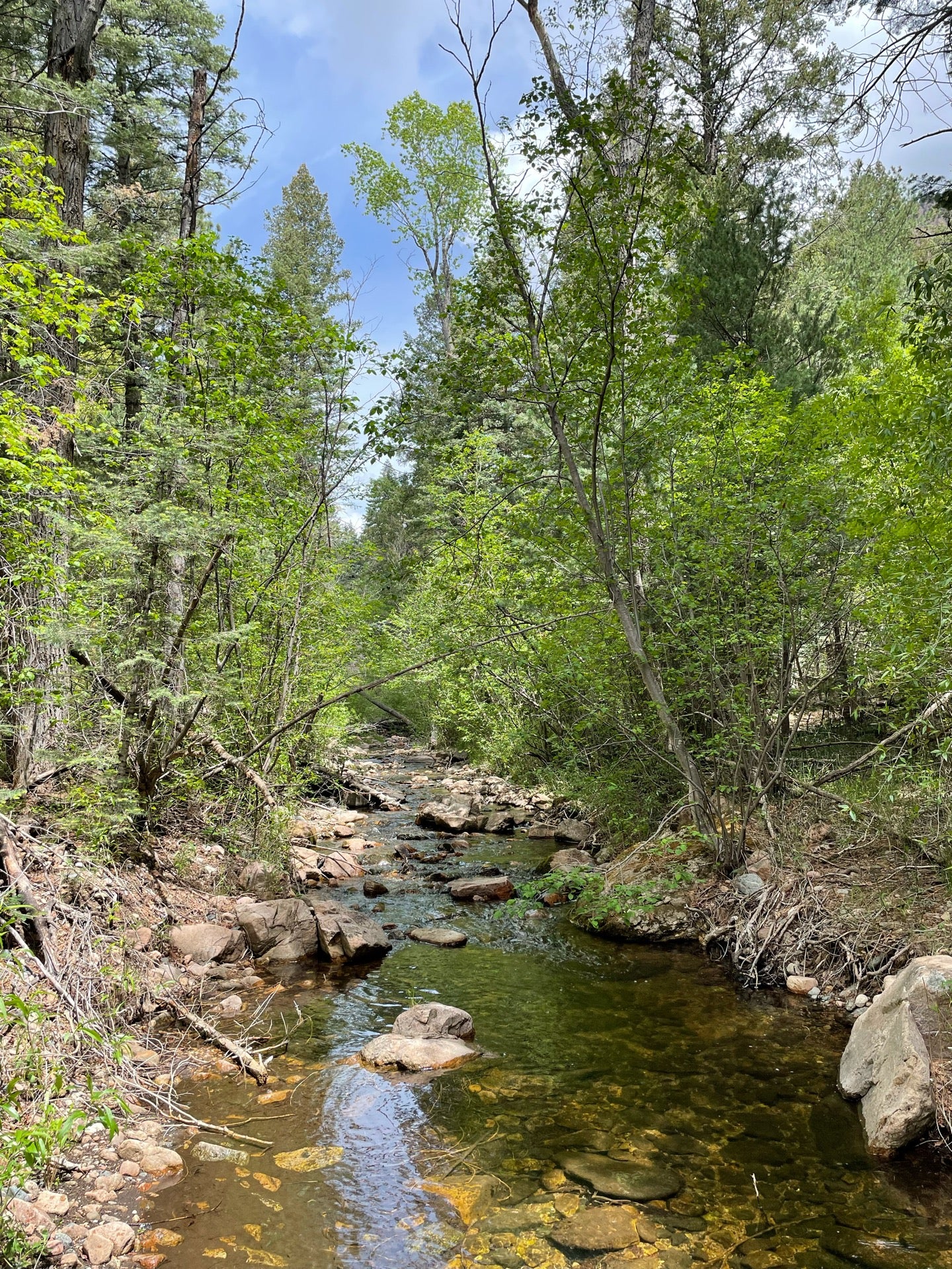 Gallinas Canyon, Hot Springs Blvd, Las Vegas, NM - MapQuest