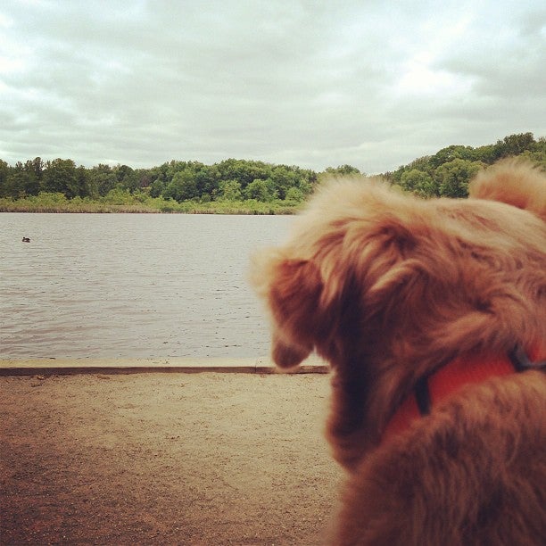 Goodyear Heights Metro Park, 2077 Newton St, Akron, OH, Parks - MapQuest