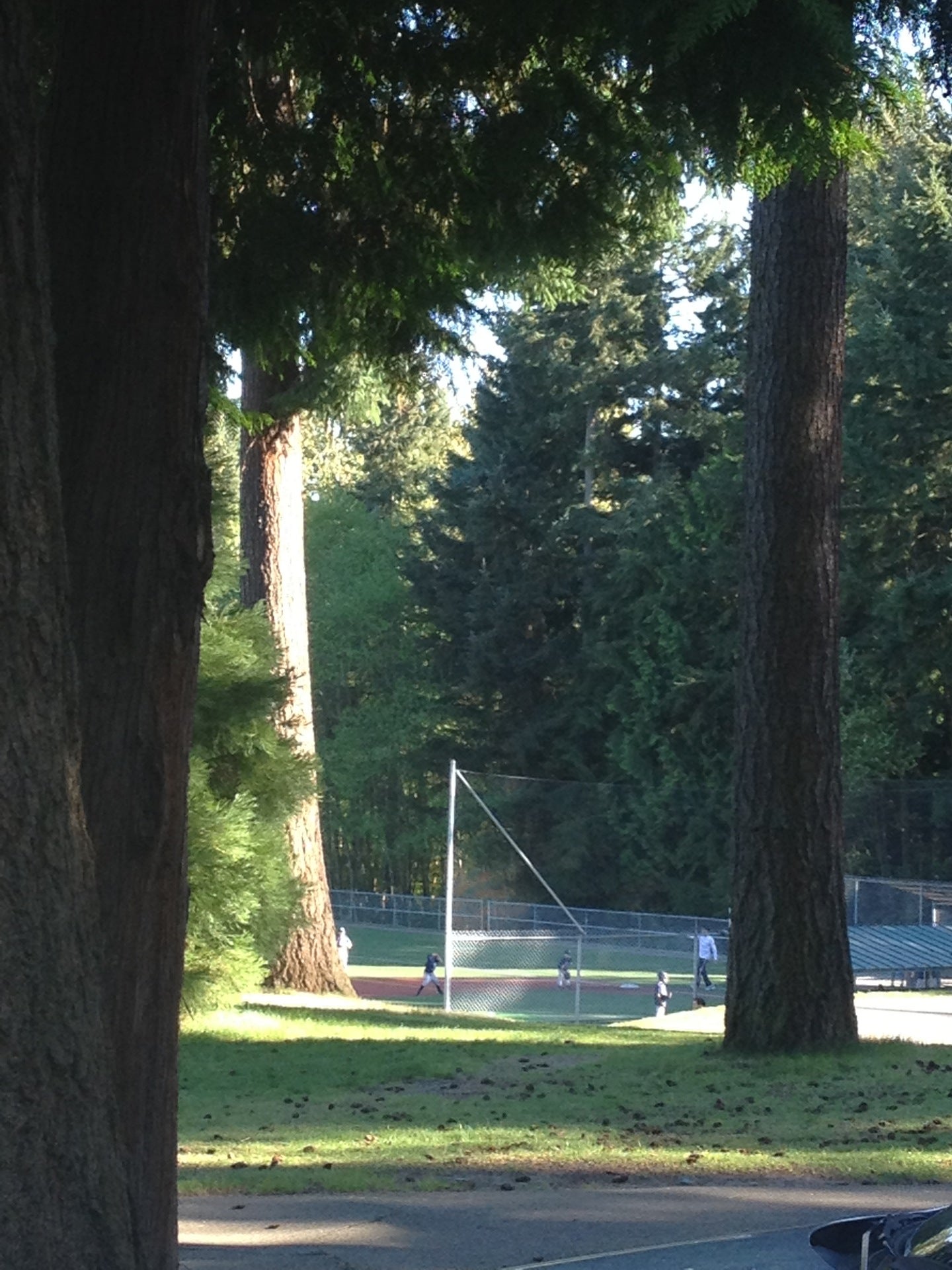 Jonathan Hartman Park, 17300 NE 104th St, Redmond, WA, Parks - MapQuest