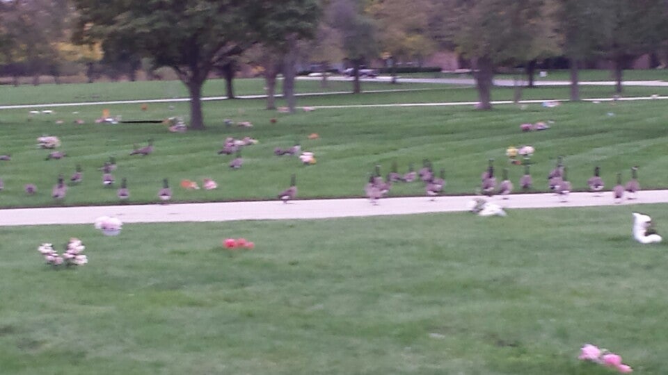 Maryhill Cemetery, 8600 N Milwaukee Ave, Niles, IL, Cemeteries - MapQuest