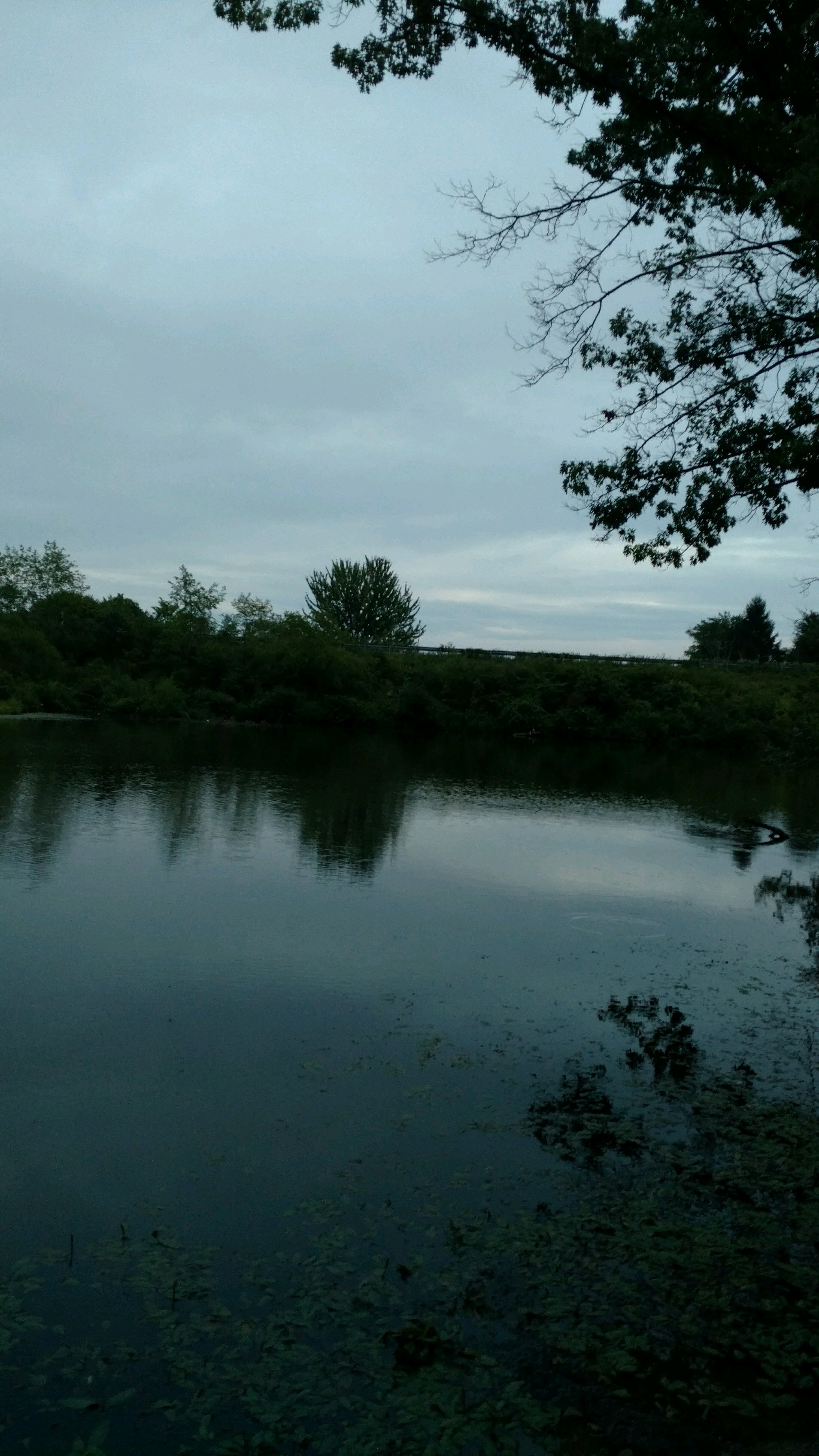 Lake Wilhelm, Hadley, PA - MapQuest