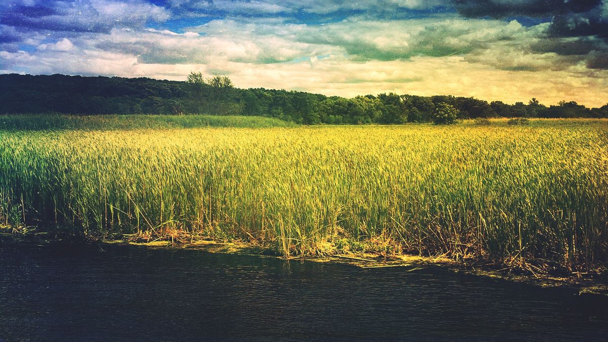 Rock Run Rookery Preserve, 23065 S Youngs Rd, Joliet, IL, Landmark ...